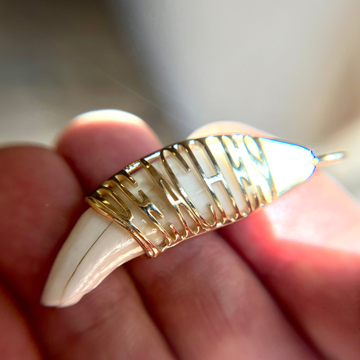 Custom Pet Tooth Charms – Digby & Iona