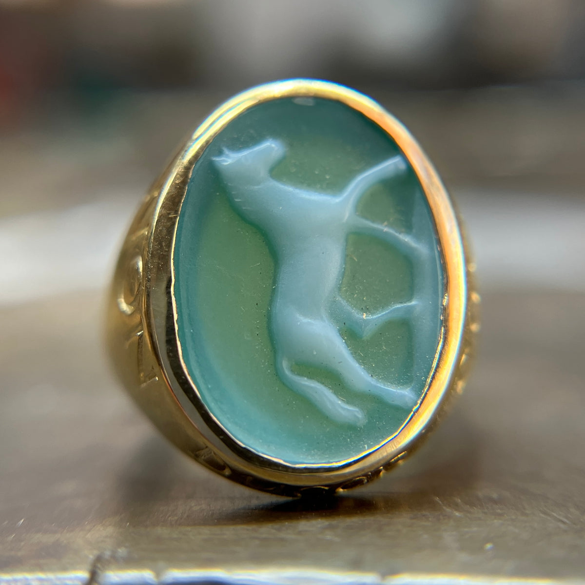 Horse Non Ducor Duco – Digby & Iona