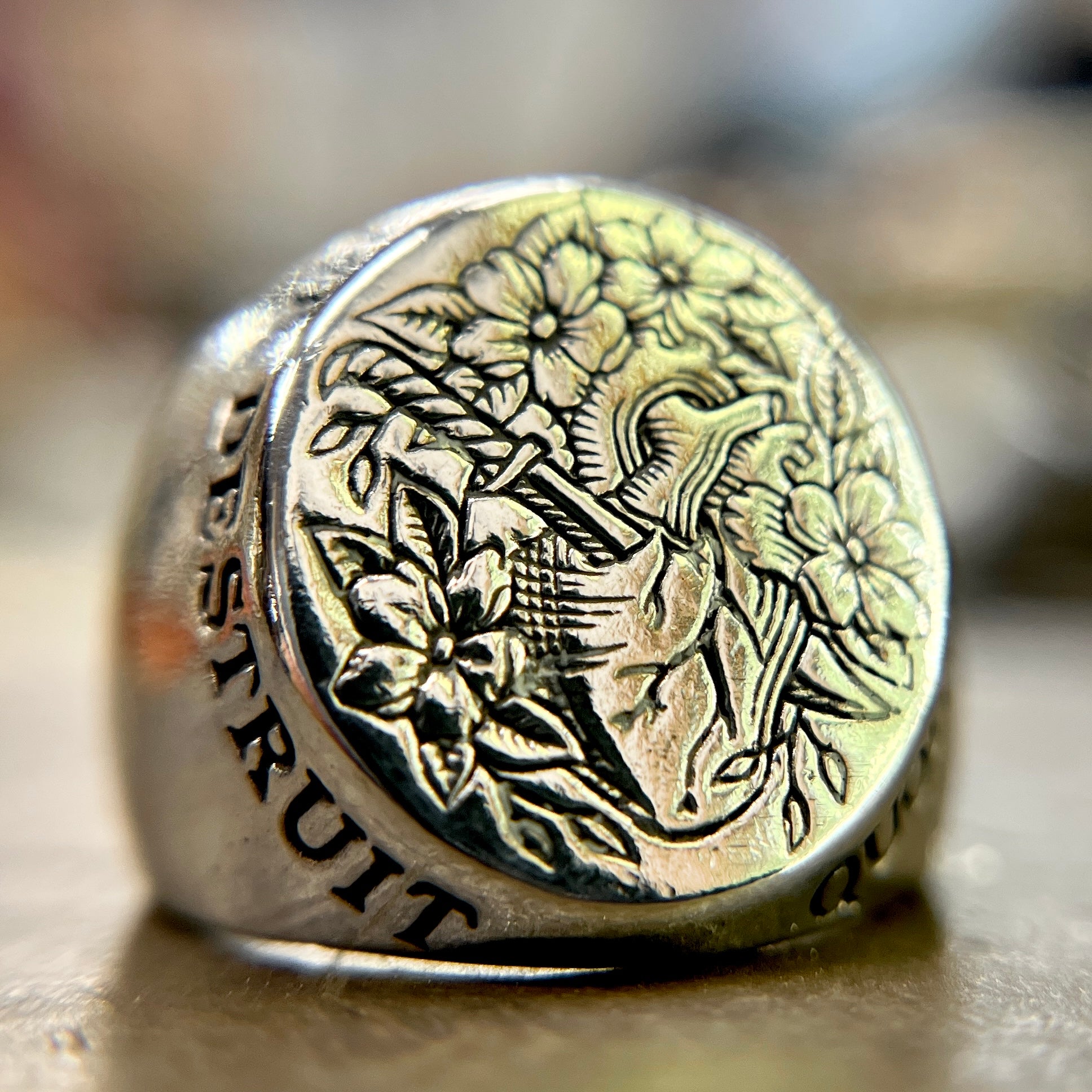 Destruit Signet – Digby & Iona
