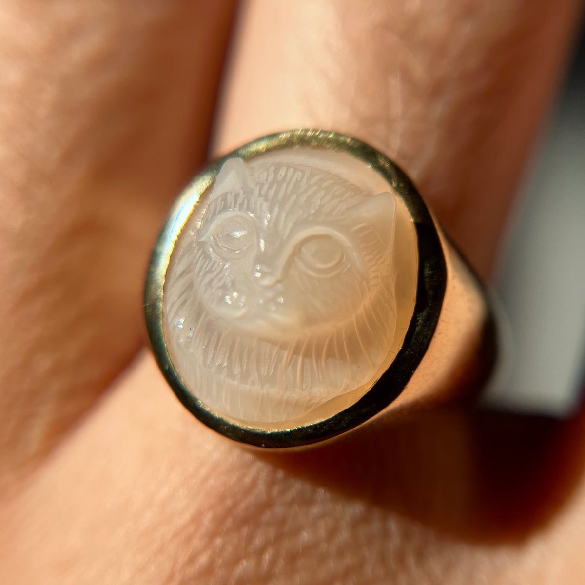 Sassy Cat Signet – Digby & Iona