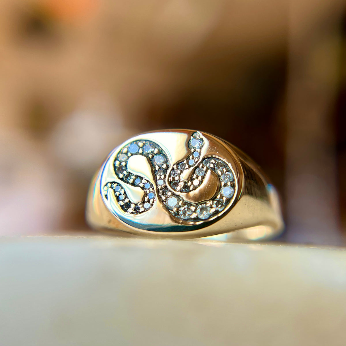 Union of the Snake Signet – Digby & Iona
